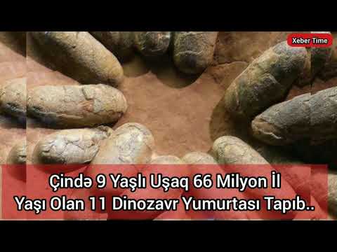 Çində 9 Yaşlı Uşaq 66 Milyon İl Yaşı Olan Dinozavr Yumurtası Tapıb !