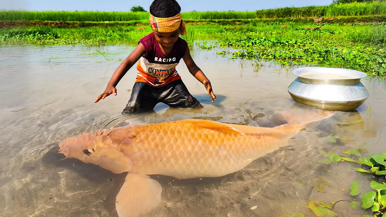 Smart Boy Catching Fish by Hand - Amazing Hand Fishing 2022 ...