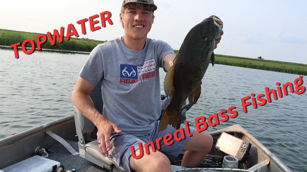 Top Water Bass Fishing In Minnesota! We Hammered Them! - YouTube