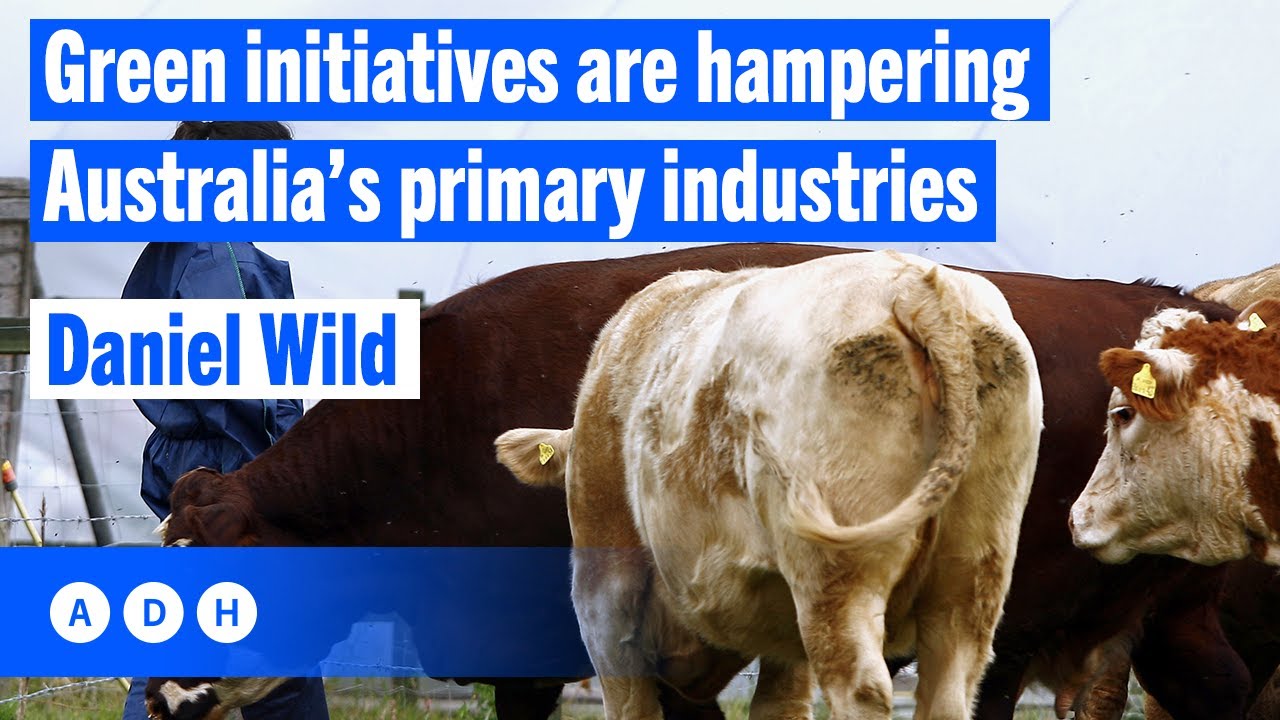 Green initiatives are hampering Australia’s primary industries: Daniel ...