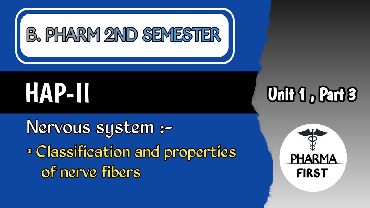 classification and properties of nerve fibers | part-3 unit 1 HAP-II - YouTube