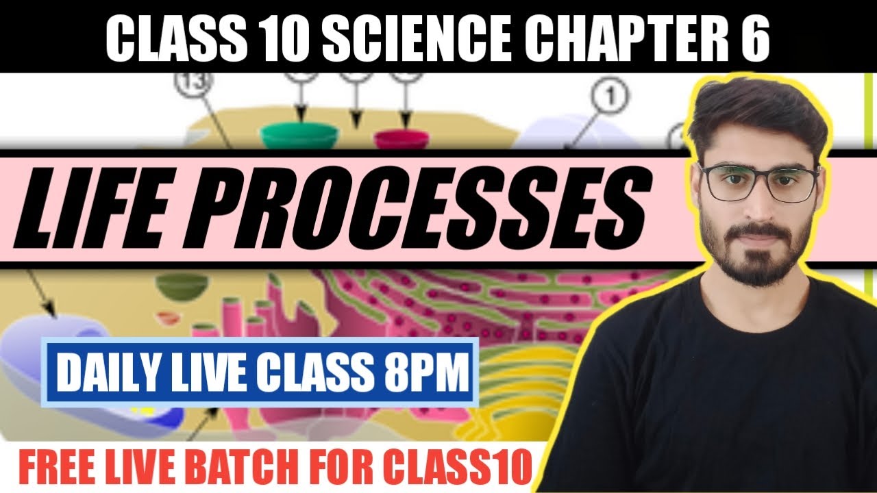 Life Processes Class 10 Science Biology - YouTube