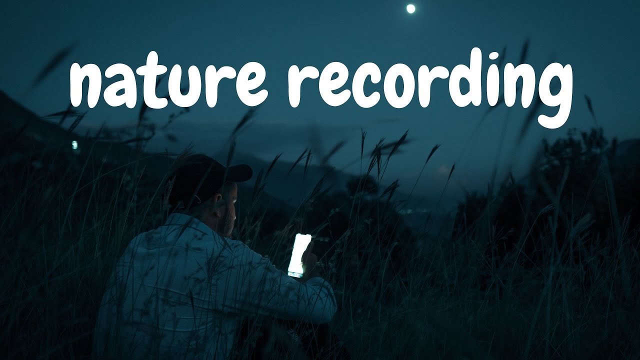 NATURE RECORDING | spring evening sounds - YouTube