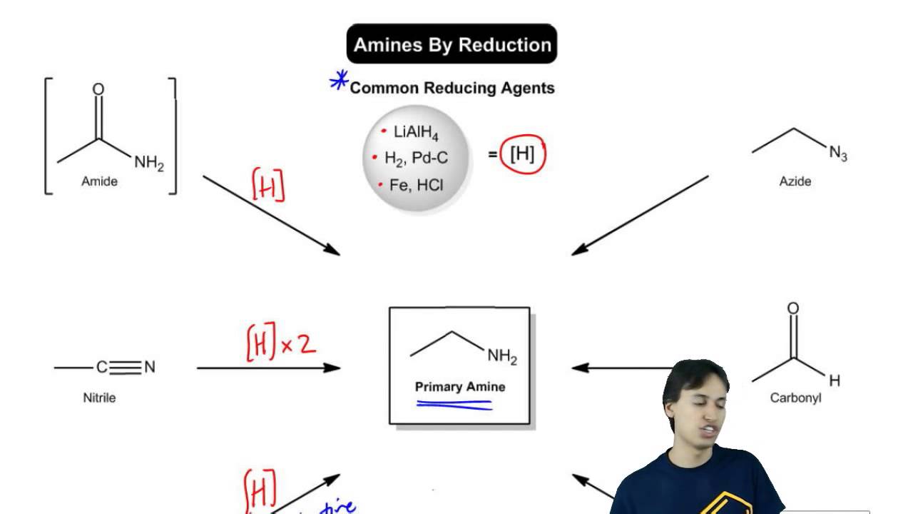 The Primary Amines Flowchart - YouTube