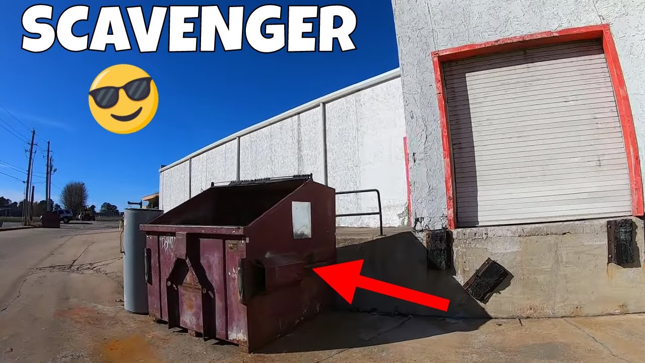 What Can We Find Today? Scavenger Style - YouTube