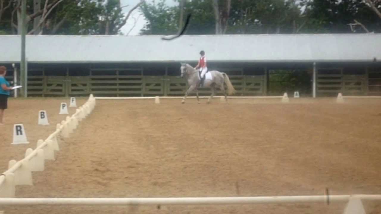1B Preliminary Dressage Test ~Commentary~ - YouTube