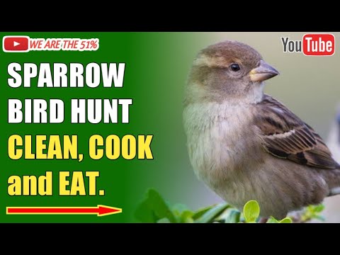 Sparrow Birds Hunt, Clean, Cook, and Eat! - YouTube