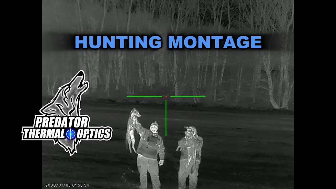 Predator Hunting with Thermal Vision | Action Packed! | Predator ...