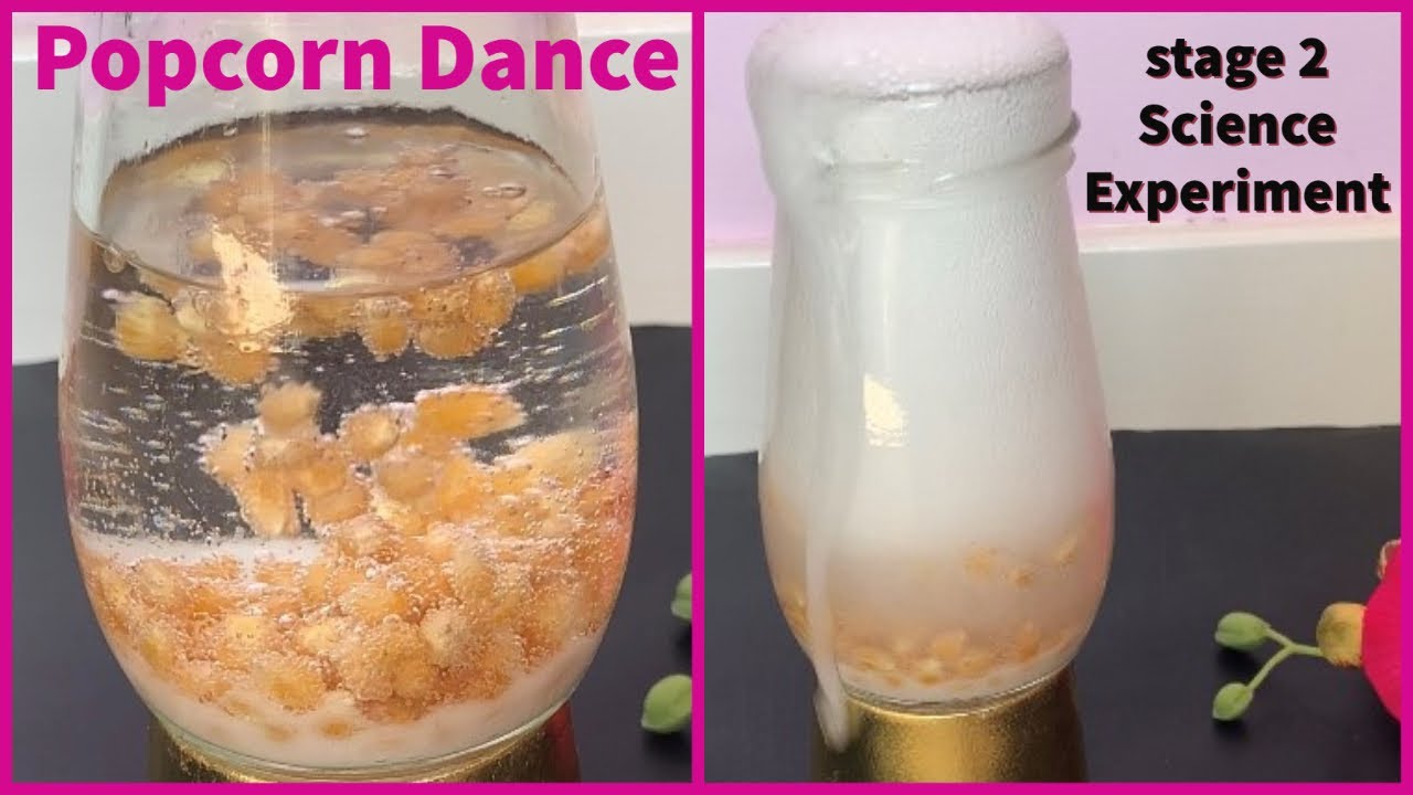 Science Experiment Dancing Popcorn | Stage 2 - Attention Activity ...