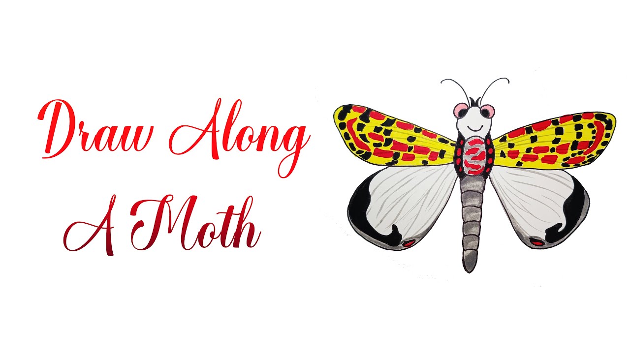 Draw Along - A Moth | Step by Step Art Tutorial | 4K - YouTube