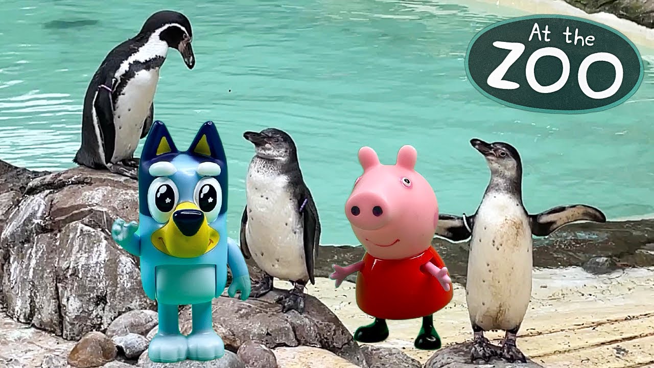 Peppa Pig and Bluey At The Zoo 🐒 - YouTube