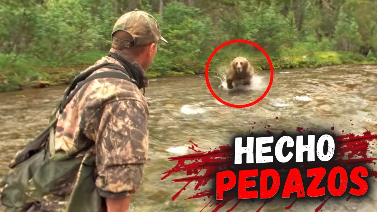 El Horrible Doble Ataque de un Oso Grizzly a Todd Orr - YouTube