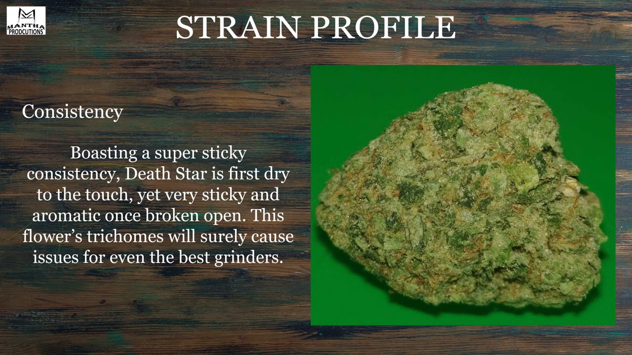 Best Buds Death Star Strain Spotlight - YouTube