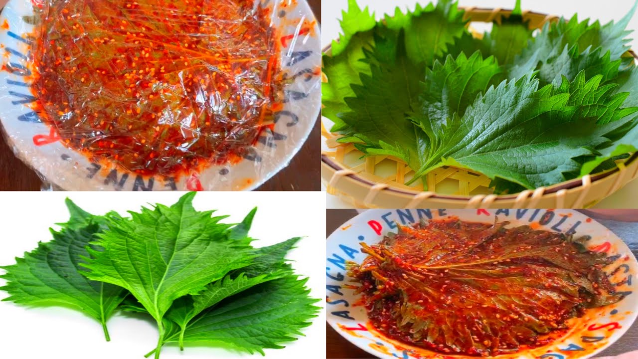 Shiso / Ooba ( Perilla ) Kimchi Healthy & Easy Recipe - YouTube