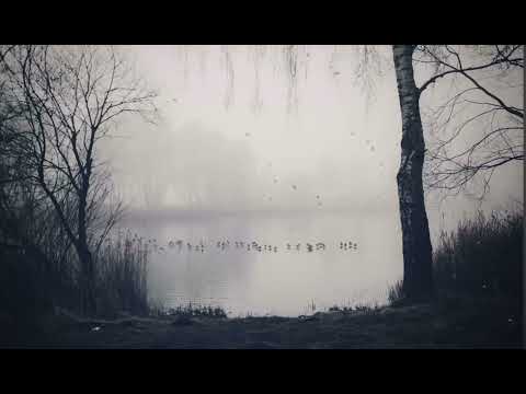 Cinlerin İntikamı / Kısa Hikayeler / Tüyler Ürpertici