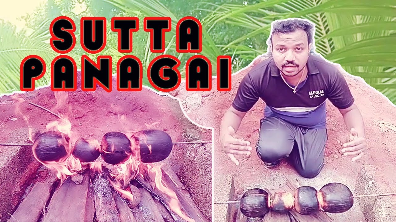 How to make Sutta Panakai | Variety food in Tamil | Sutta Panakai - YouTube