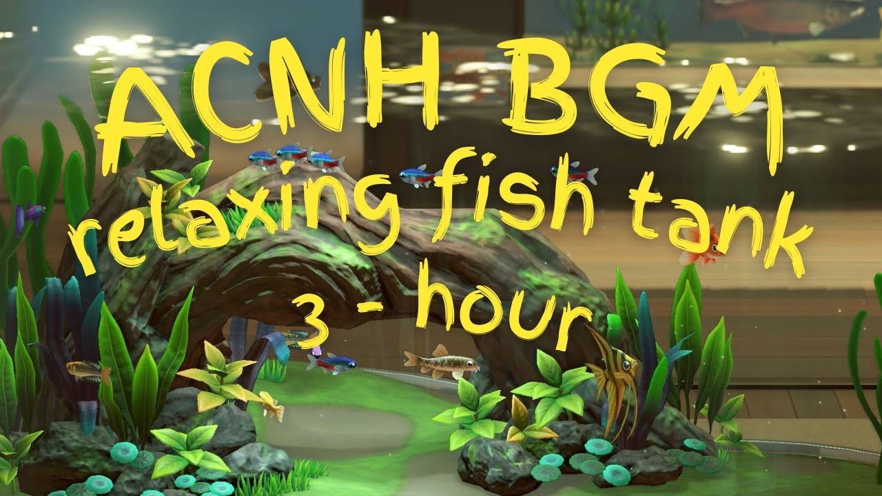 ACNH BGM - relaxing fish tank to help you focus🐠🫧| Animal Crossing ...