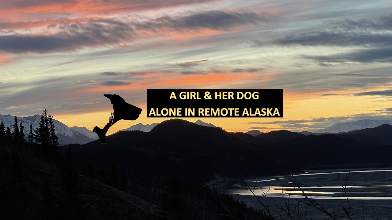 Alone in Remote Alaska Live Stream - YouTube