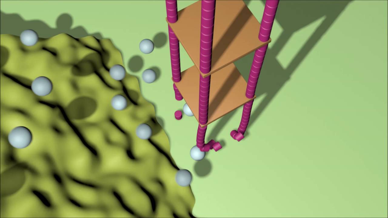 3DS Max - PhysX Simulation - YouTube