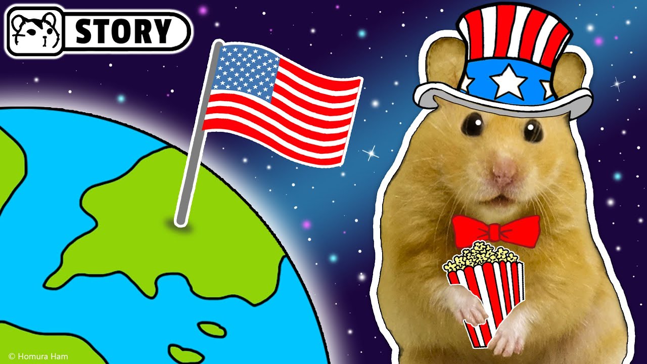 Hamster traveler in the USA 🧭 Around the World 🧭 Homura Ham - YouTube