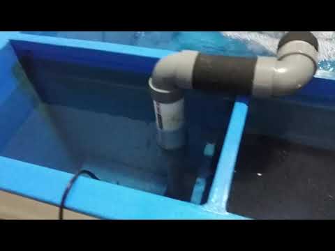 Filter samping Setelah Running dan isi Ikan Bak fiber 200x70x70cm ...