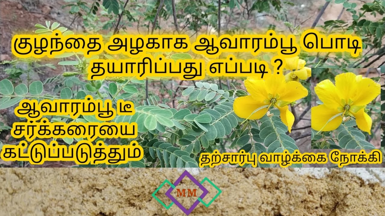 Aavaram poo Herbal powder/Baby whitening /Sugar control /ஆவாரம்பூ டீ ...