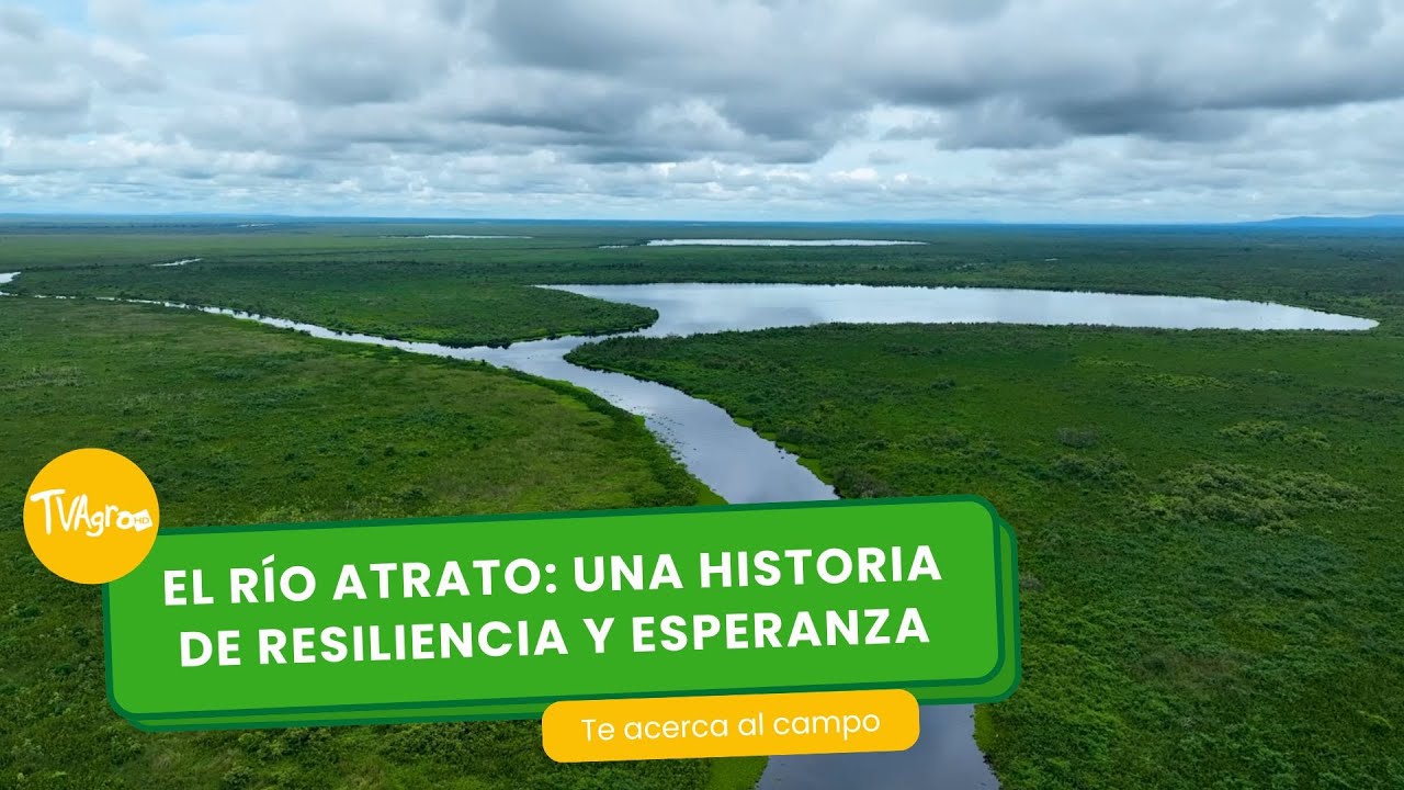 El Río Atrato: Una Historia de Resiliencia y Esperanza- TvAgro por Juan ...