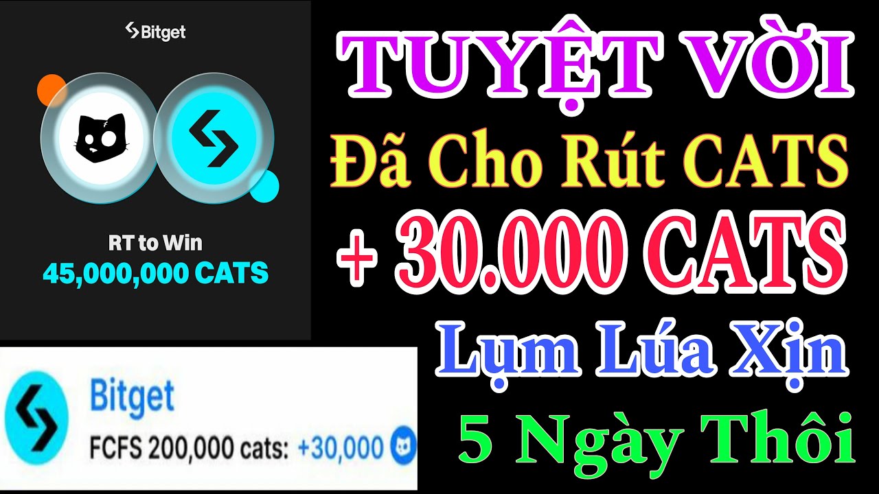 TUYỆT VỜI - CATS CHUẨN BỊ LỤM LÚA LIÊN KẾT VÍ VỚI SÀN BITGET NGAY ...