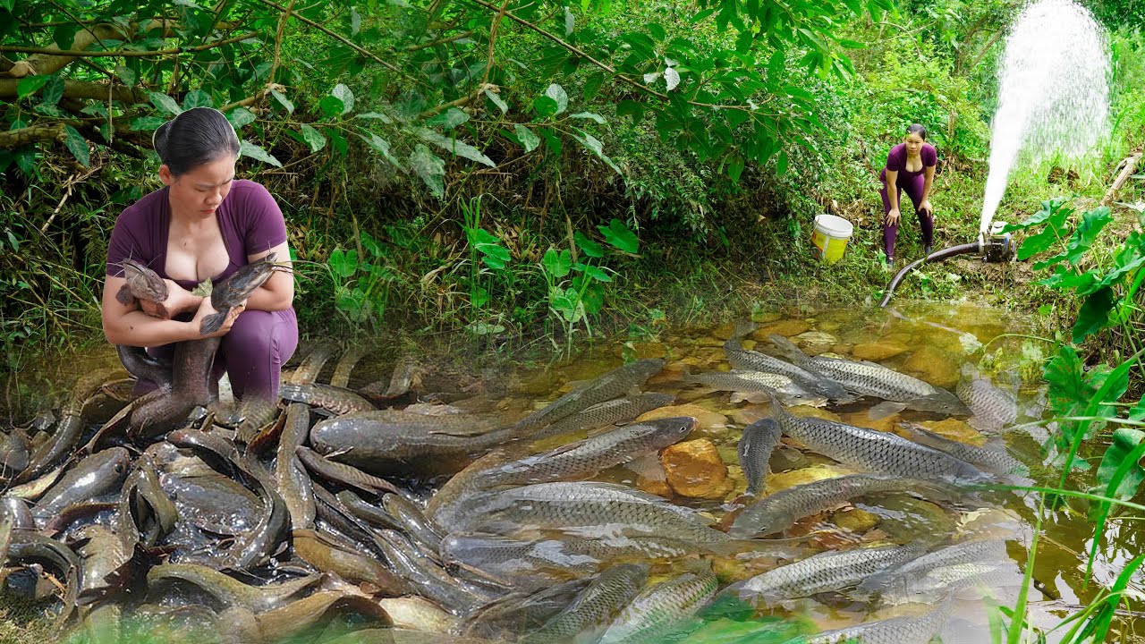 Top unique fishing videos, catching wild fish with high-capacity pumps ...