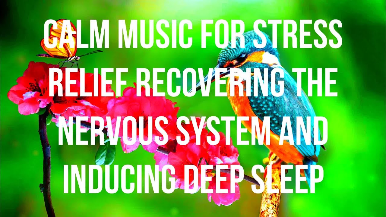 Relax Music - for a good mood, Calming music - YouTube