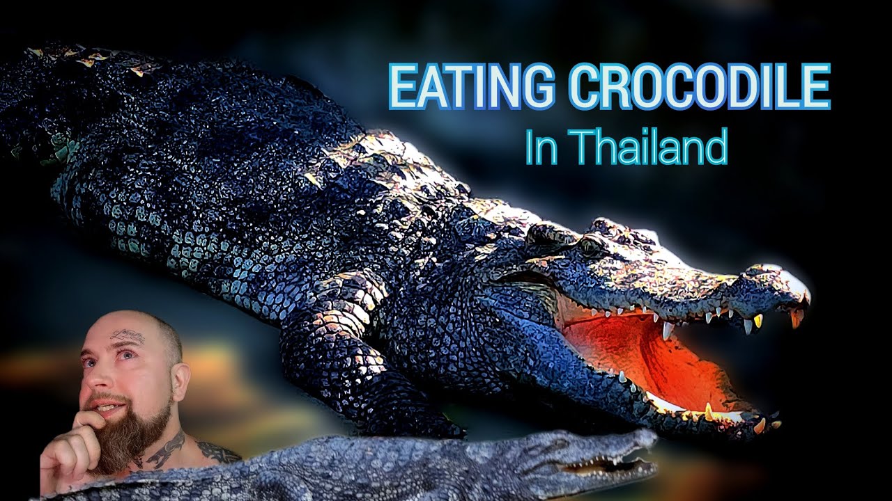 Eating Crocodile Meat - Thailand Street Food - Delicious! - YouTube