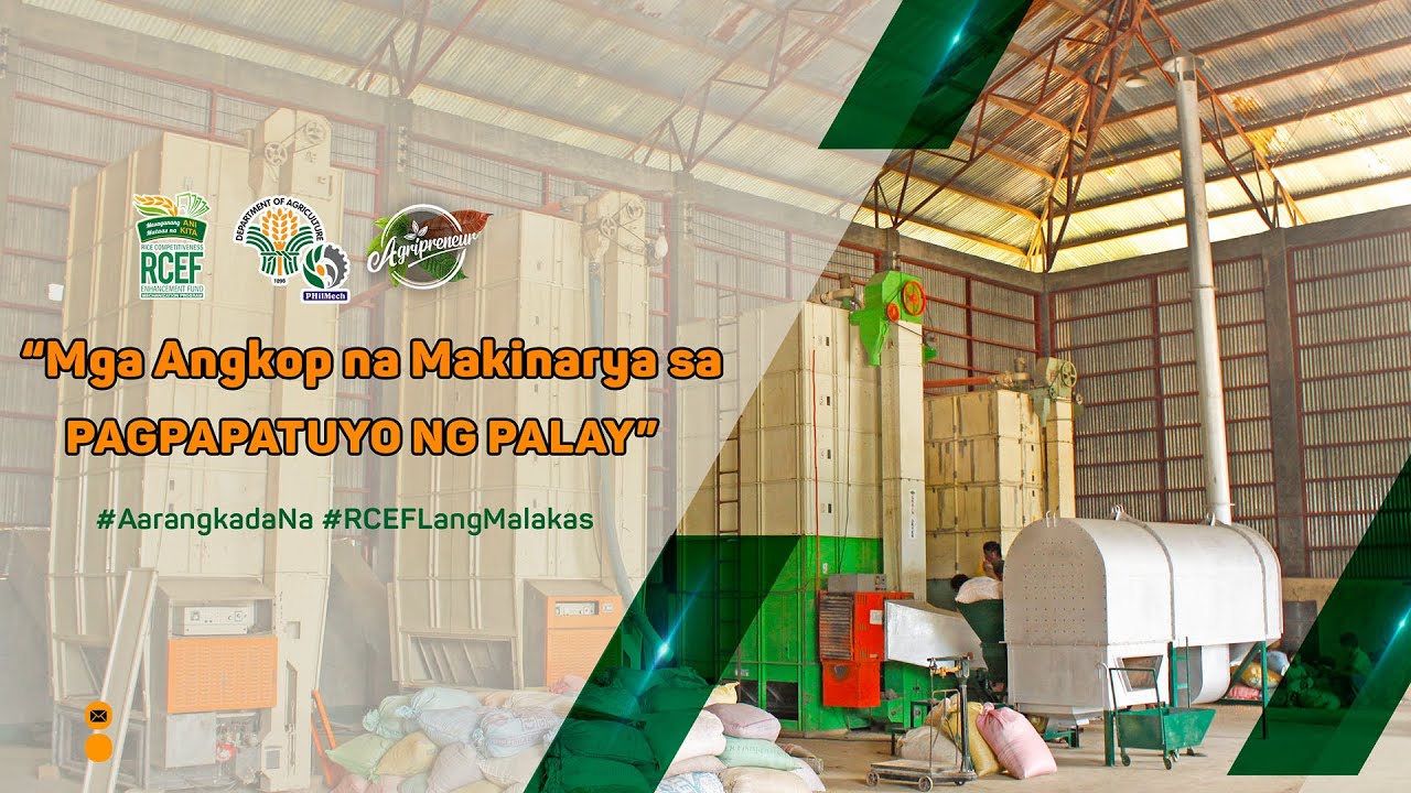 #RCEFMechTVSegment6: Mga Angkop na Makinarya sa Pagpapatuyo ng Palay ...