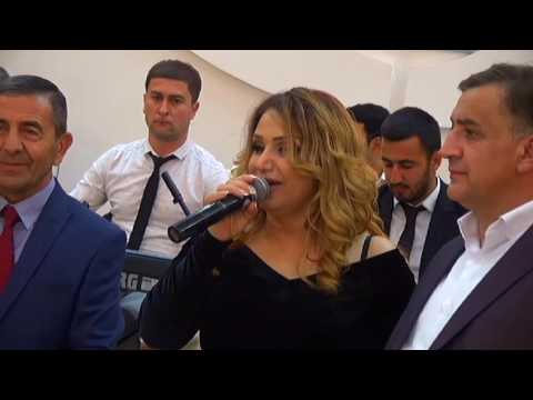 Menzure Musayeva Niyameddin Memmedov Xan sarayi