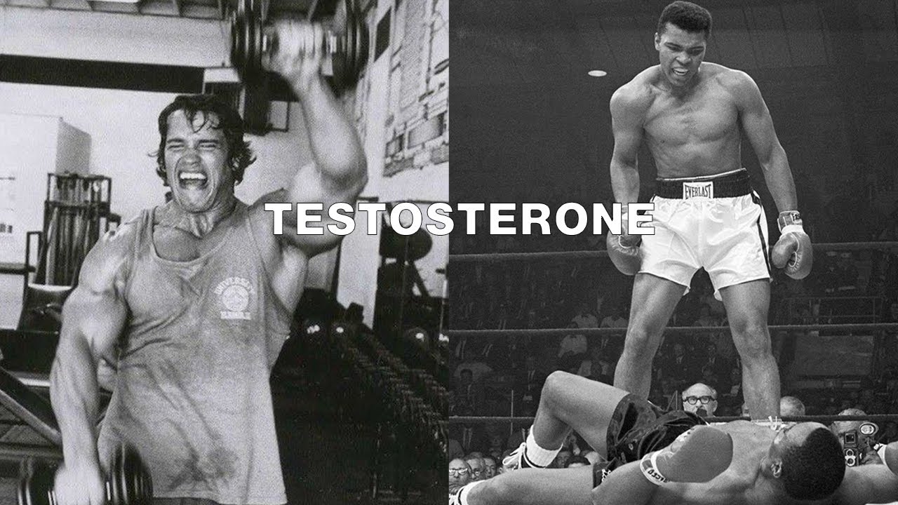 VIDEO THAT WILL RAISE YOUR TESTOSTERONE LEVELS. DISCIPLINE, MOTIVATION ...