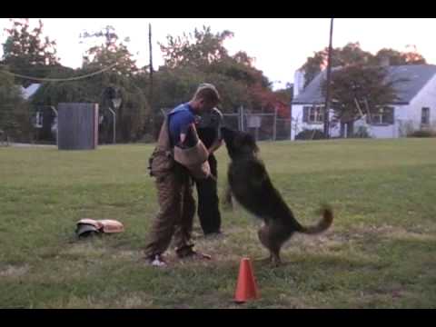 K-9 MIKE SUTTLE - YouTube