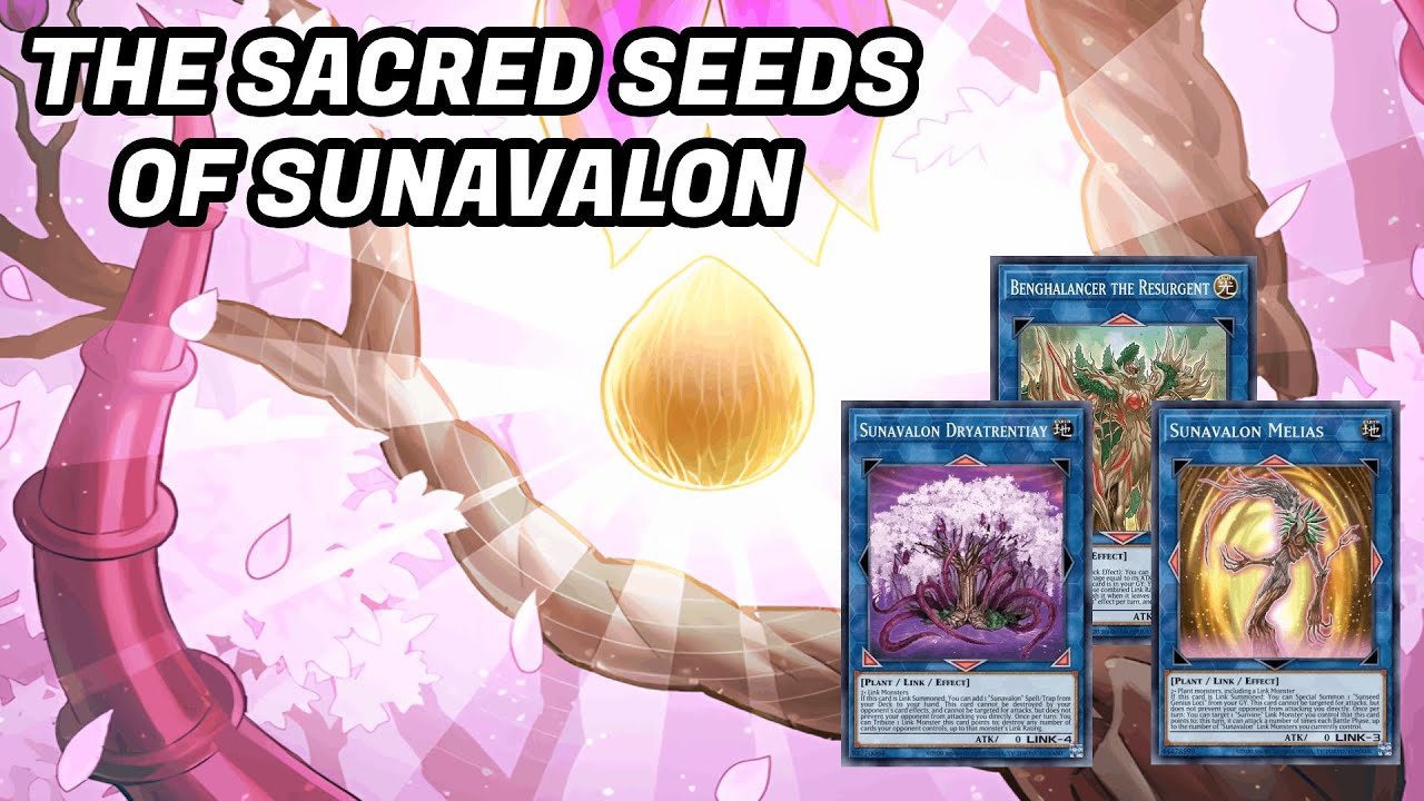 The Sacred Seeds of Sunavalon || Yu-gi-oh Duel Links - YouTube