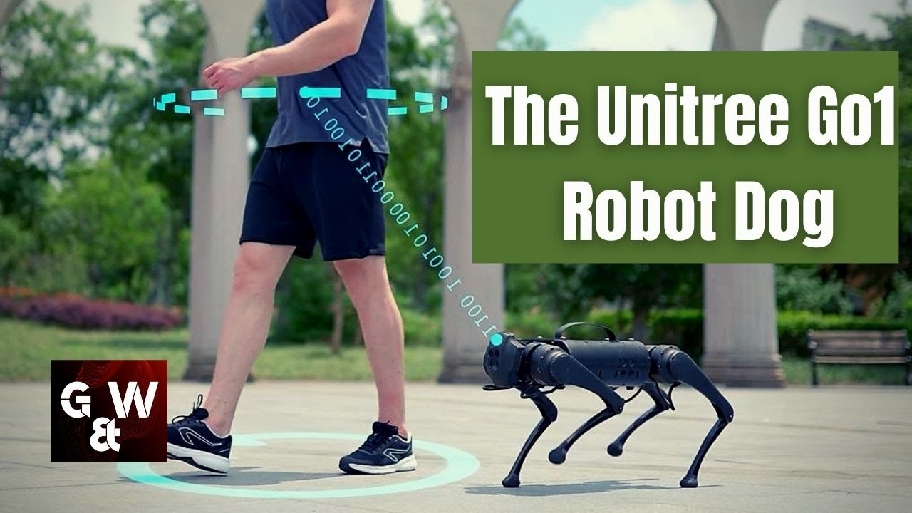The Unitree Go1 Robot Dog Offers a Novel Solution to Companionship ...