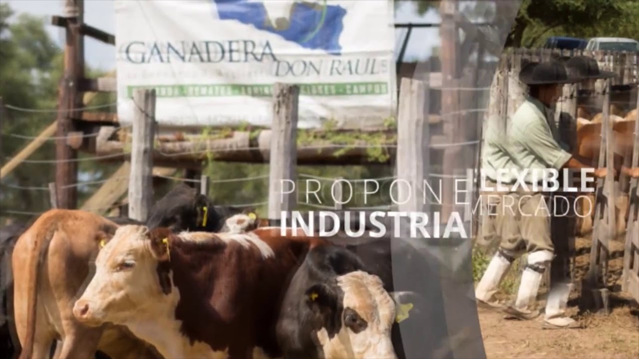Ganadera Don Raul - YouTube