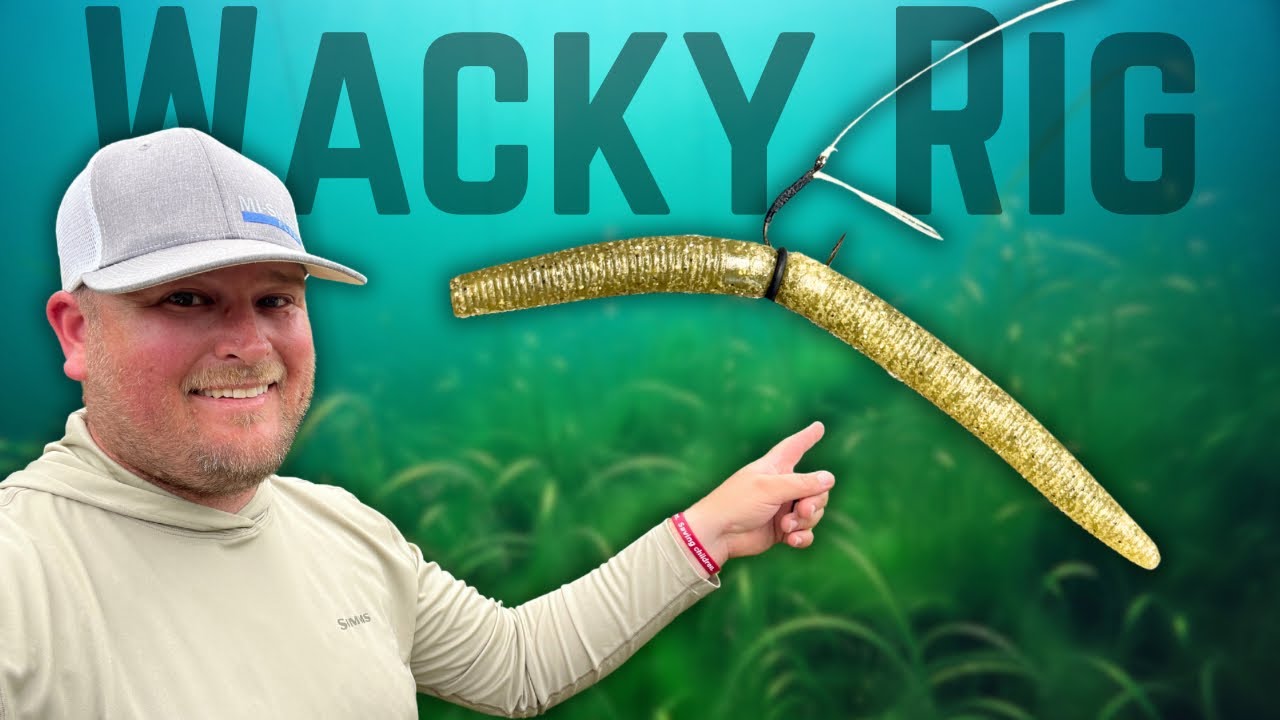 Many Angler Don’t Fish A WACKY RIG Correctly!! Try These PROVEN ...