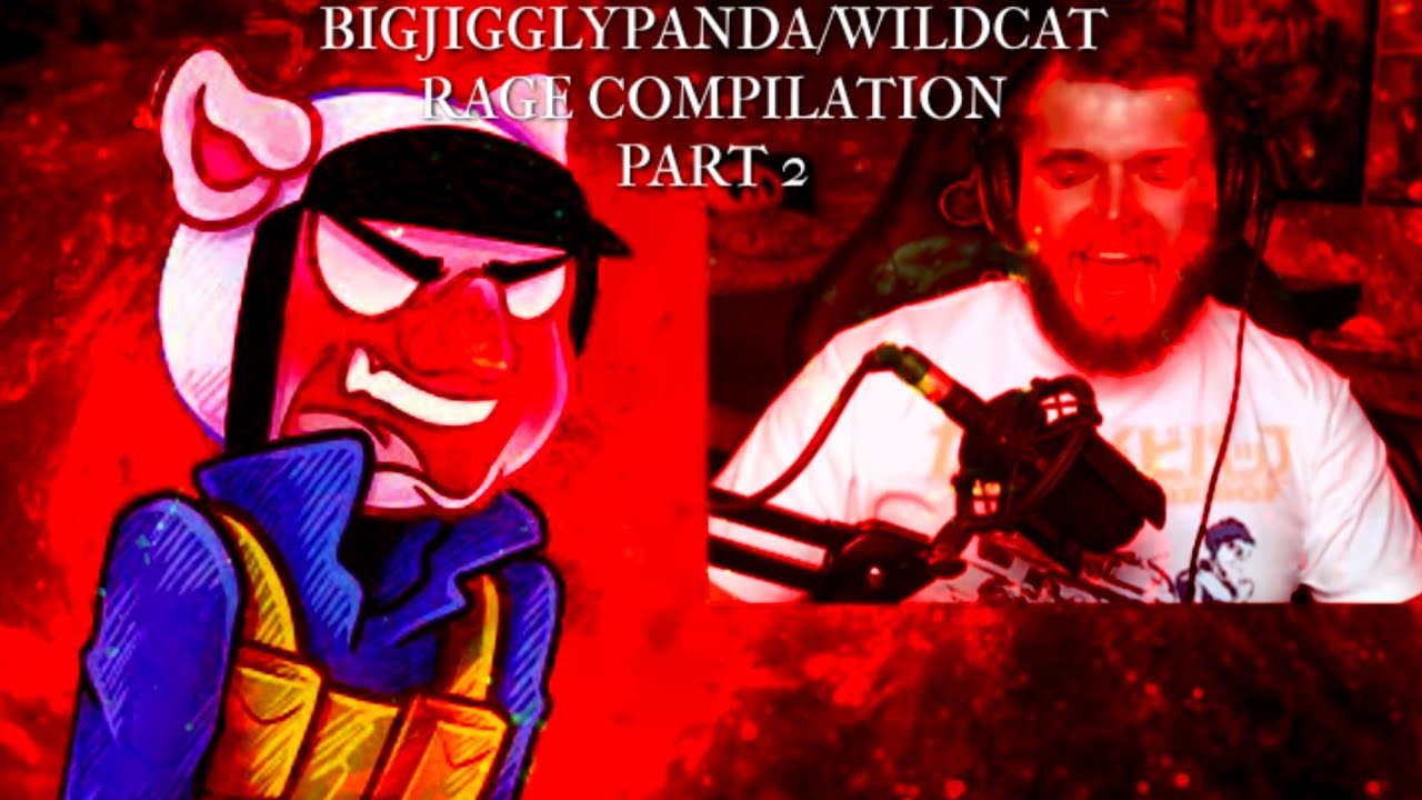 BigJigglyPanda/WILDCAT Rage Compilation Part 2 - YouTube