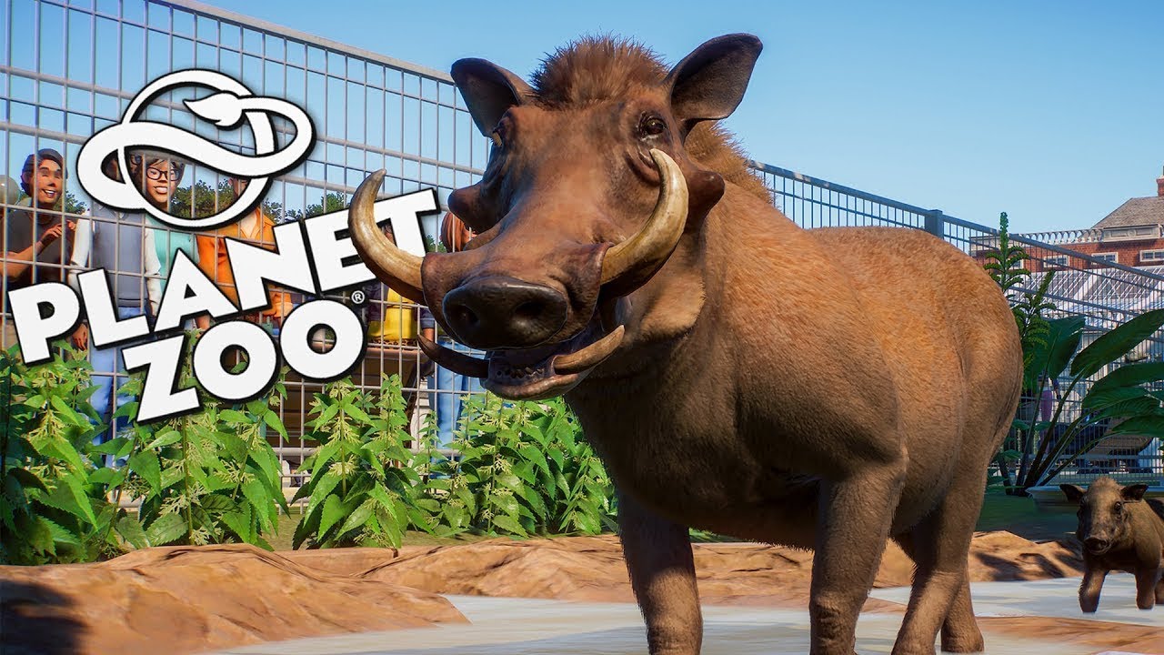 Vamos a jugar a Planet Zoo! a ver si aprendemos! - YouTube