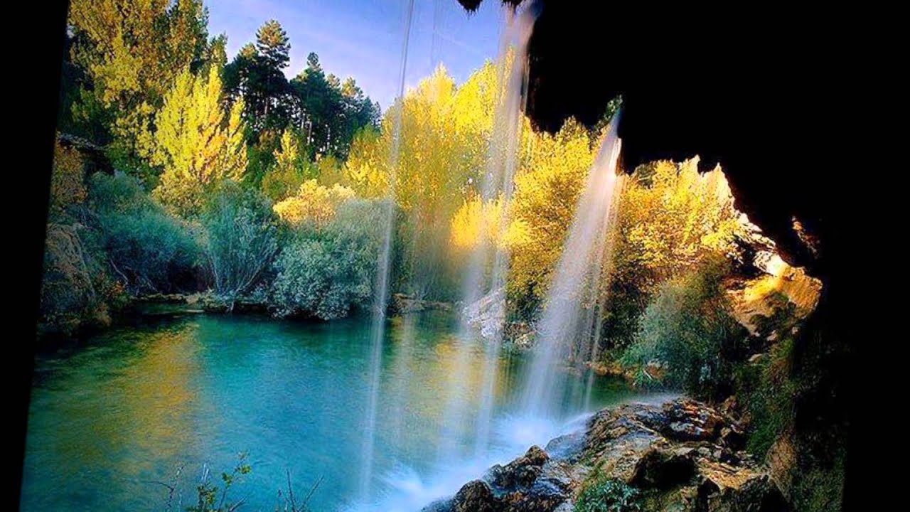 The Eternal Forest - YouTube