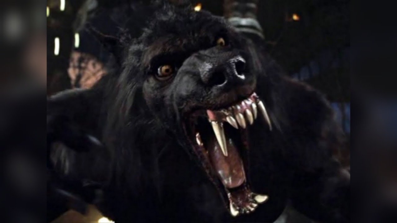 Episode 40: Eyewitness Shares His Terrifying Dogman Encounter - YouTube