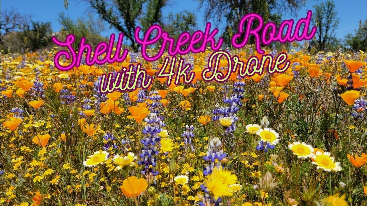 Shell Creek Road California's Secret Garden - YouTube