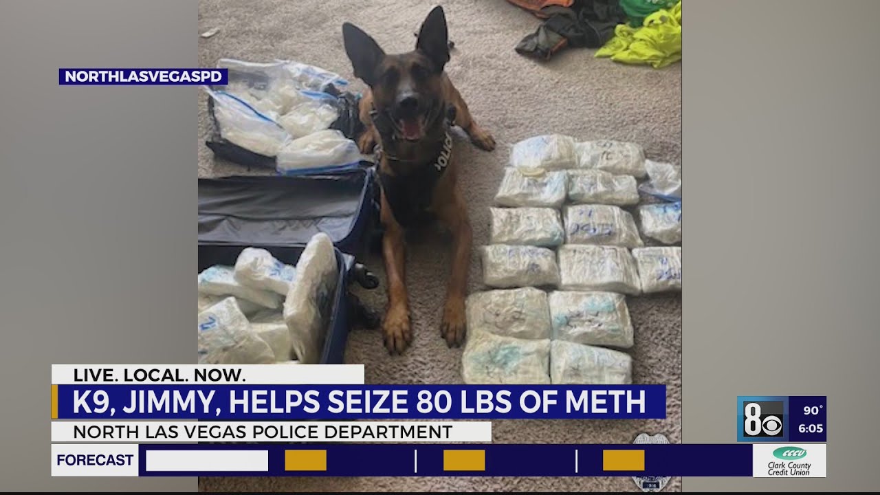 North Las Vegas K9 assists in drug bust, 80 pounds of meth seized - YouTube