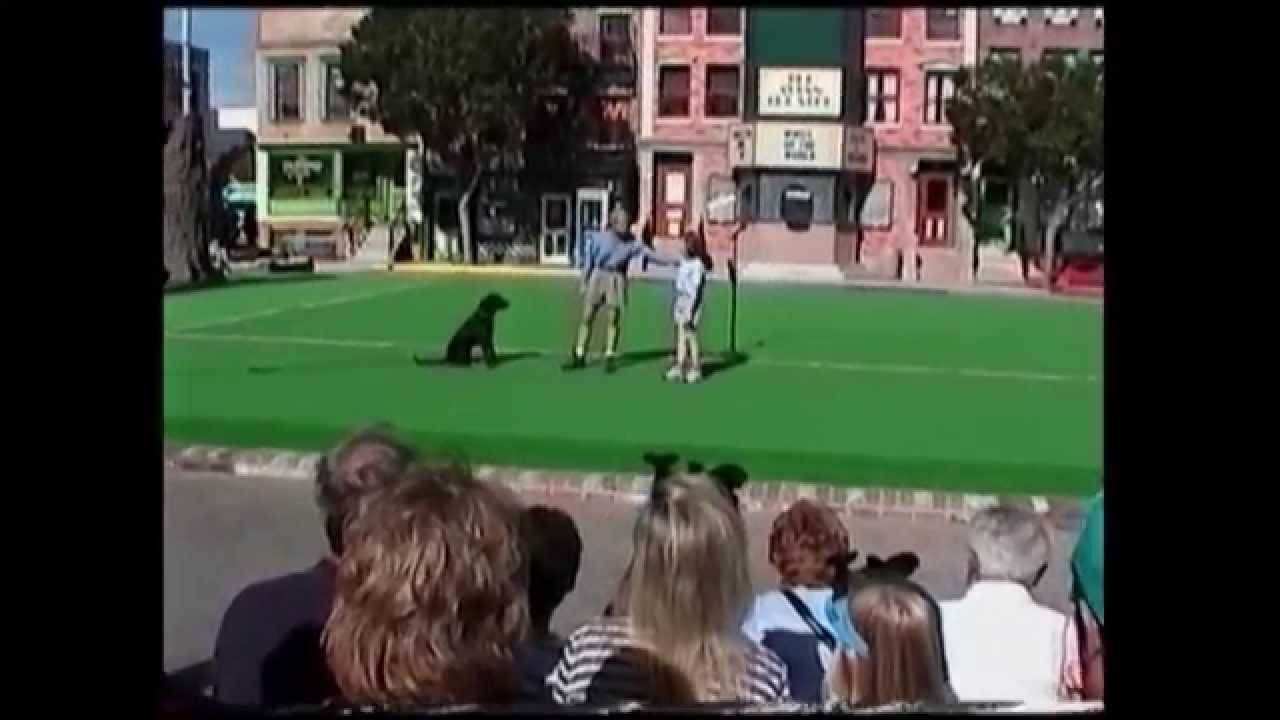 seaworld bird show - YouTube