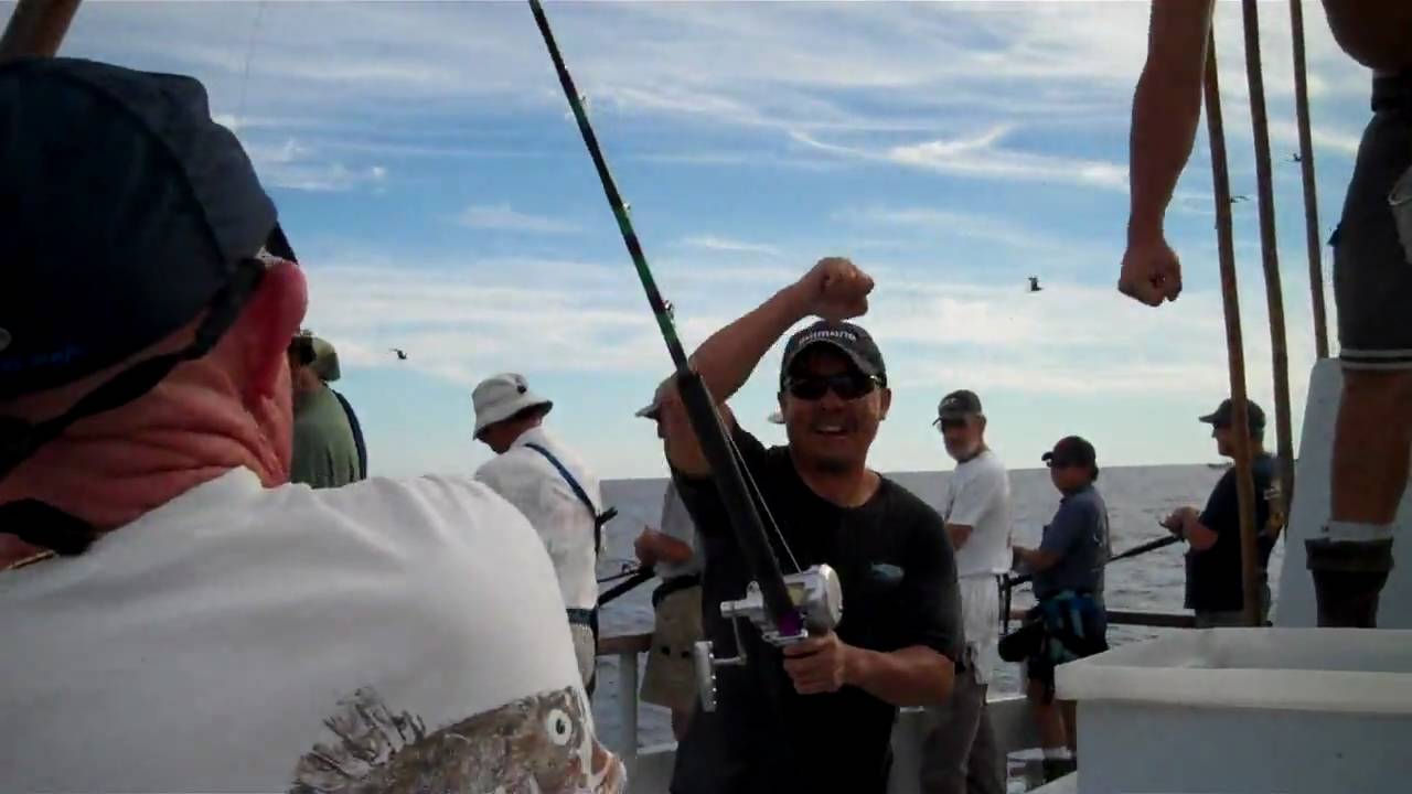 Jeff_Cow.MP4 - YouTube