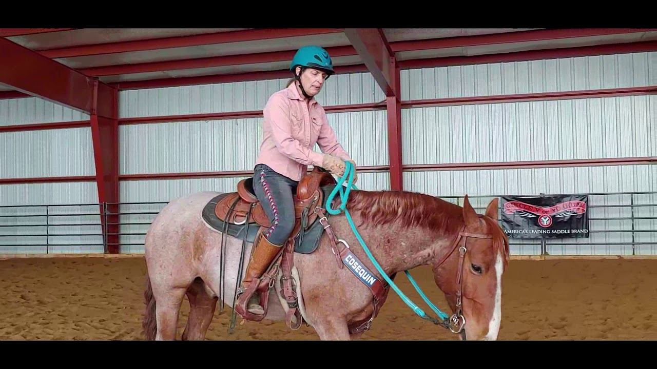Daily Dose of Horsemanship Homework: Stopping Your Horse Without Using ...