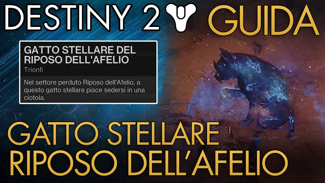 Gatto Stellare: Riposo dell'Afelio | Trionfo: Felini Familiari | Guida ...