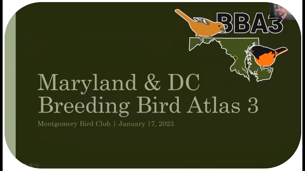 January 18, 2023: Gabriel Foley with a Progress Update on the Maryland ...